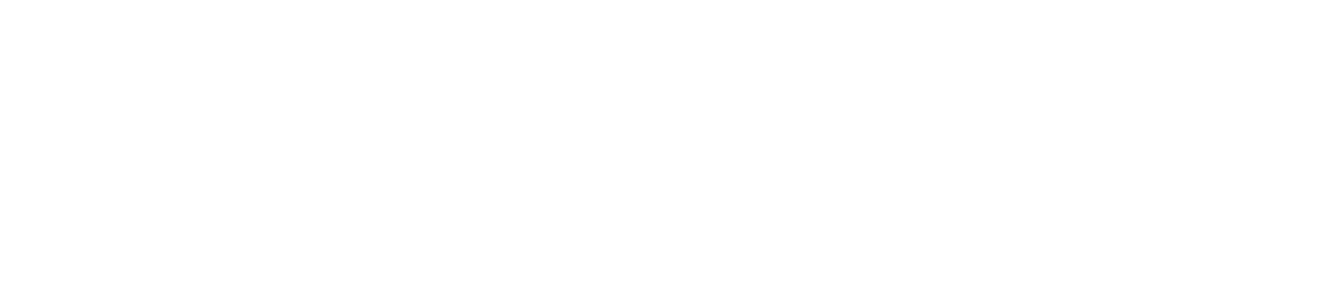 Home | Softhealer Technologies